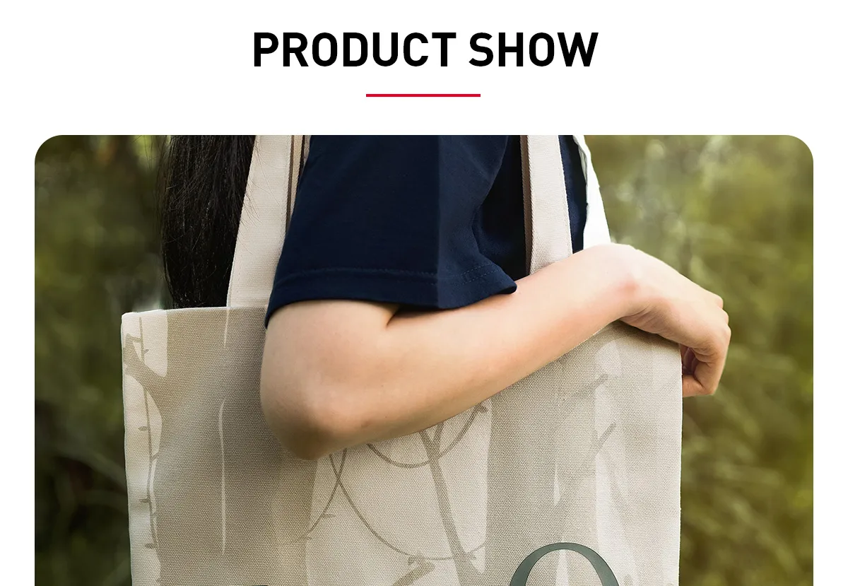 DIMOO ONE DAY WITH KOALA-Canvas Bag - POP MART (South Korea)