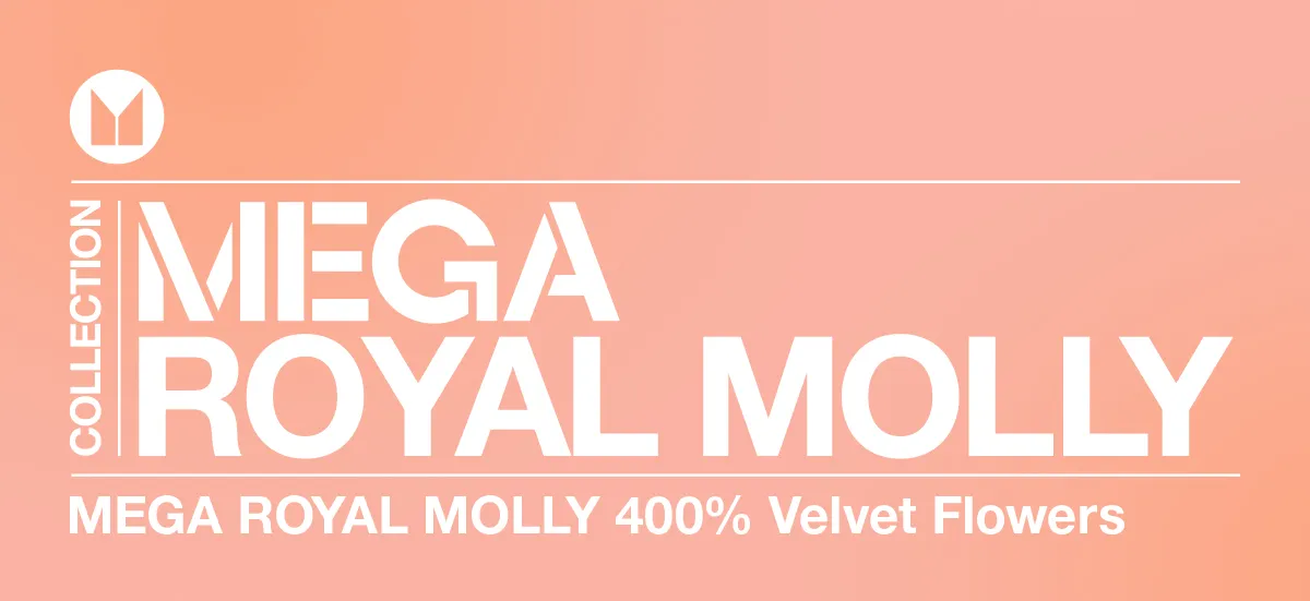 MEGA ROYAL MOLLY 400% - Velvet Flowers - POP MART (Australia)