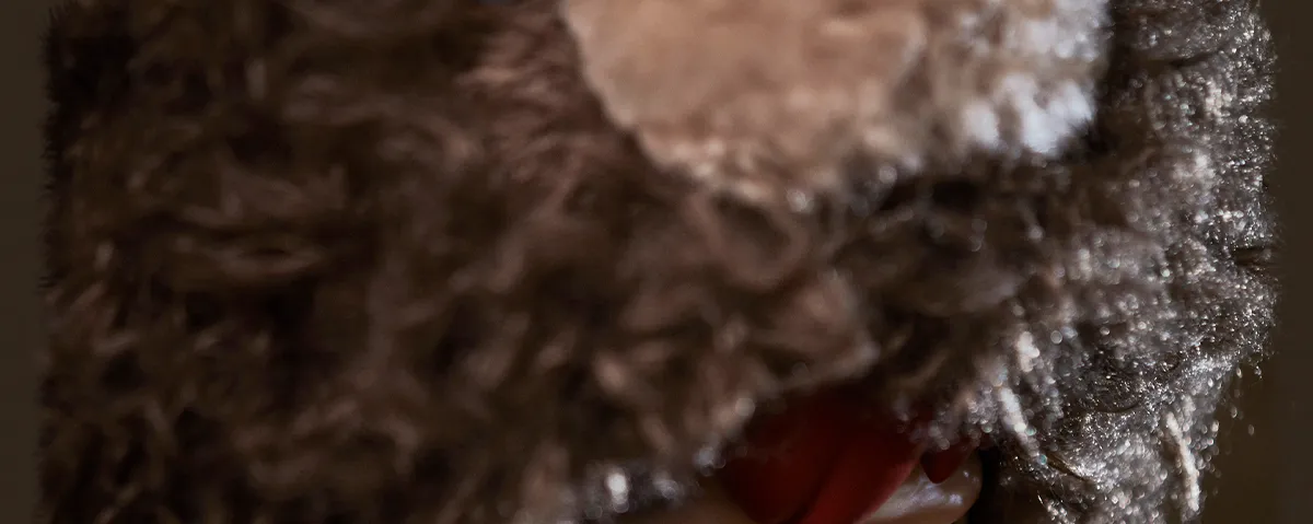 Hirono Bear Vinyl Plush Doll - POP MART (France)